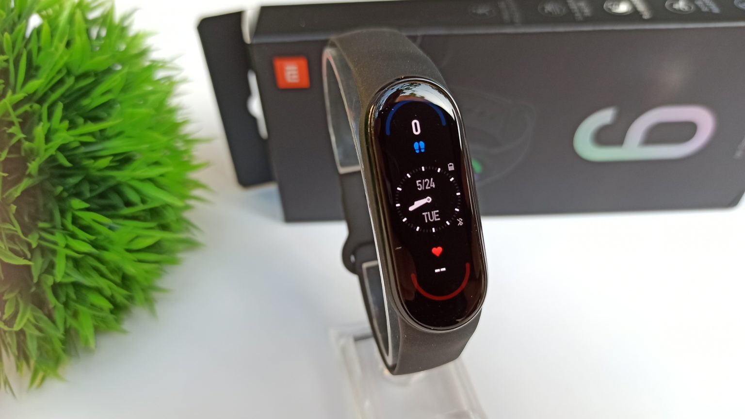 Mi Smart Band 6 Review - Best Budget Fitness Tracker? | Techxreviews